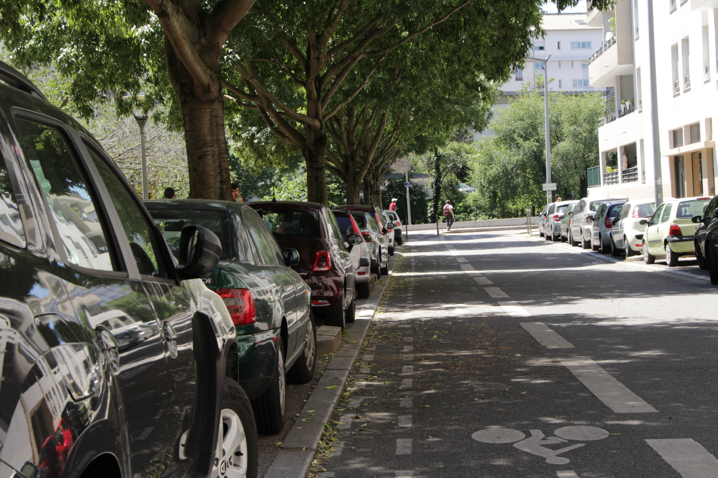 Expertiser les problématiques de stationnement pour mieux agir : un partenariat mené avec des ...