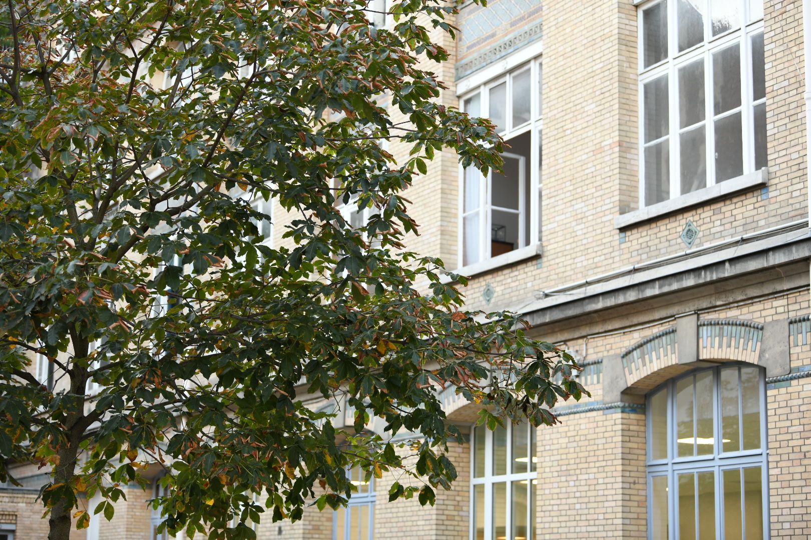 CUBE.S devient ACTEE CUBE.S : les collèges et lycées toujours engagés dans la course aux ...