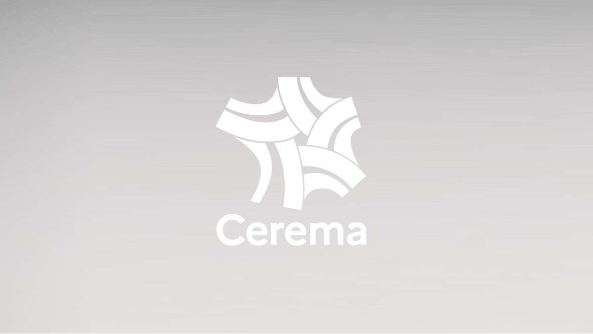 Le comité de direction du Cerema | Cerema
